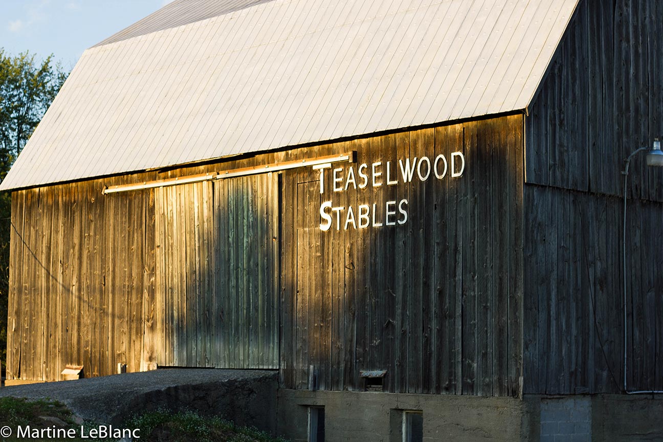 Teaselwood Stables