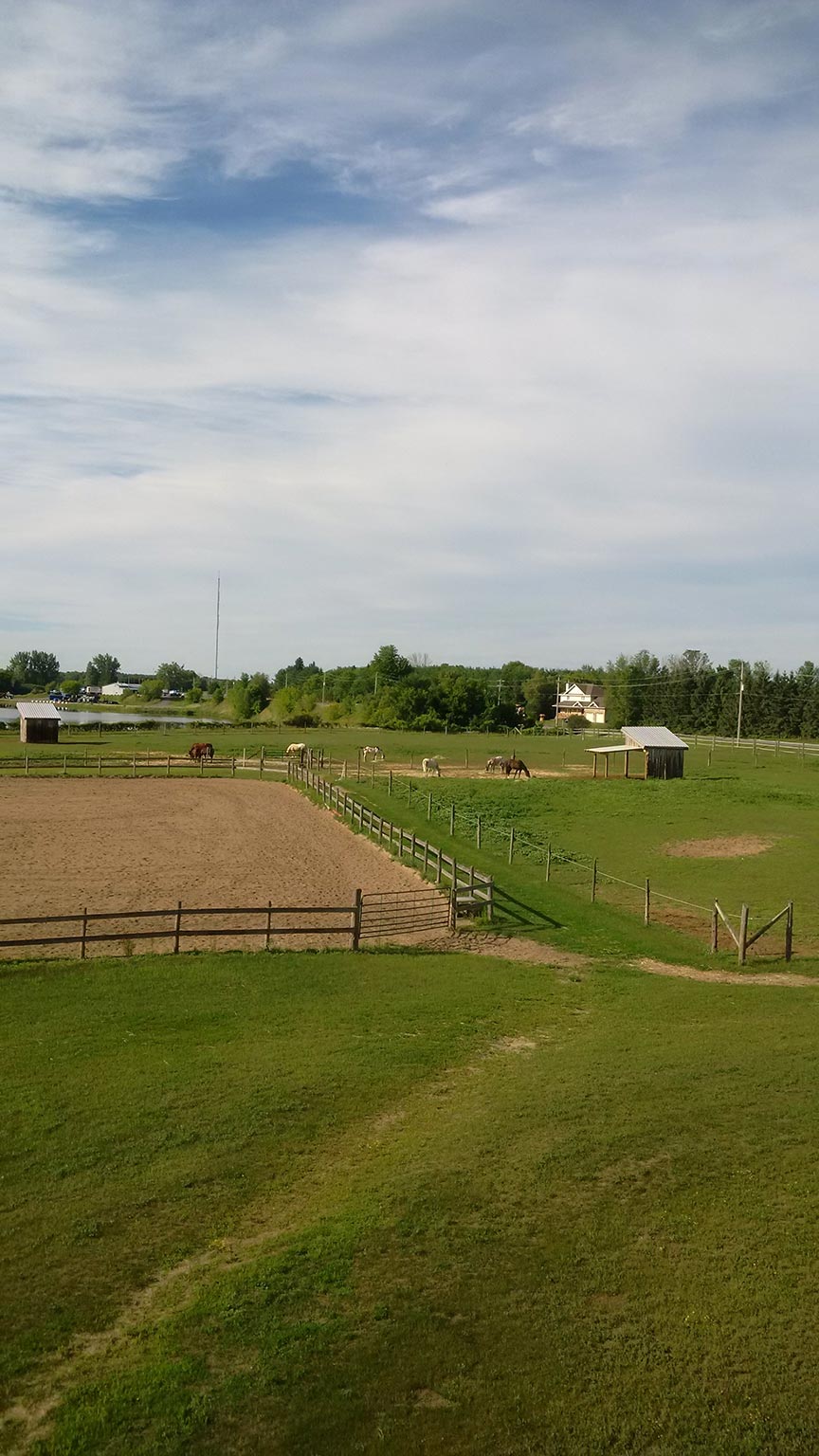 Teaselwood Stables