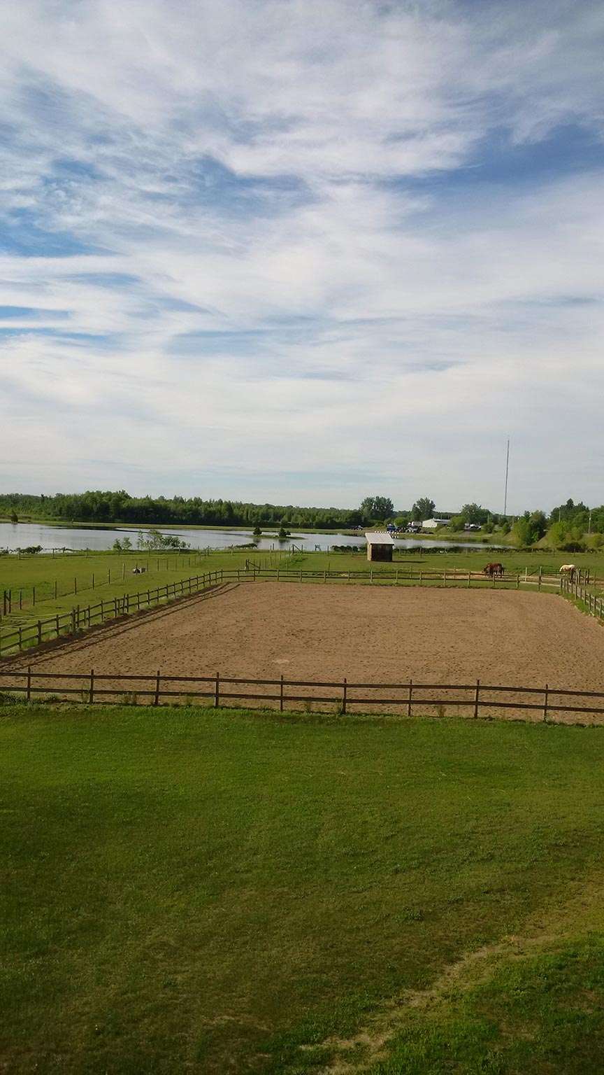 Teaselwood Stables