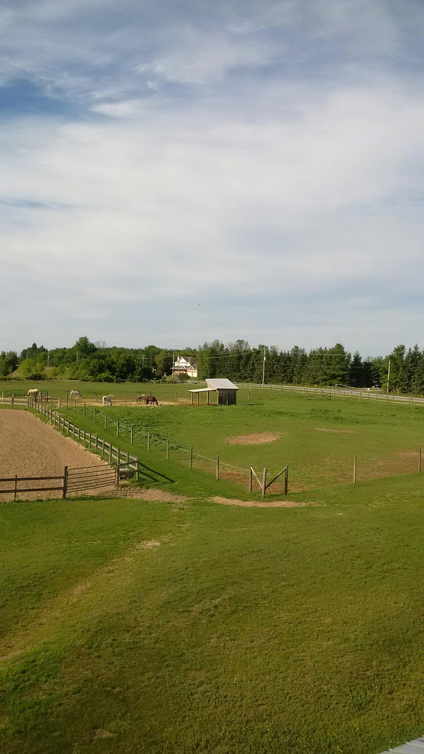 Teaselwood Stables